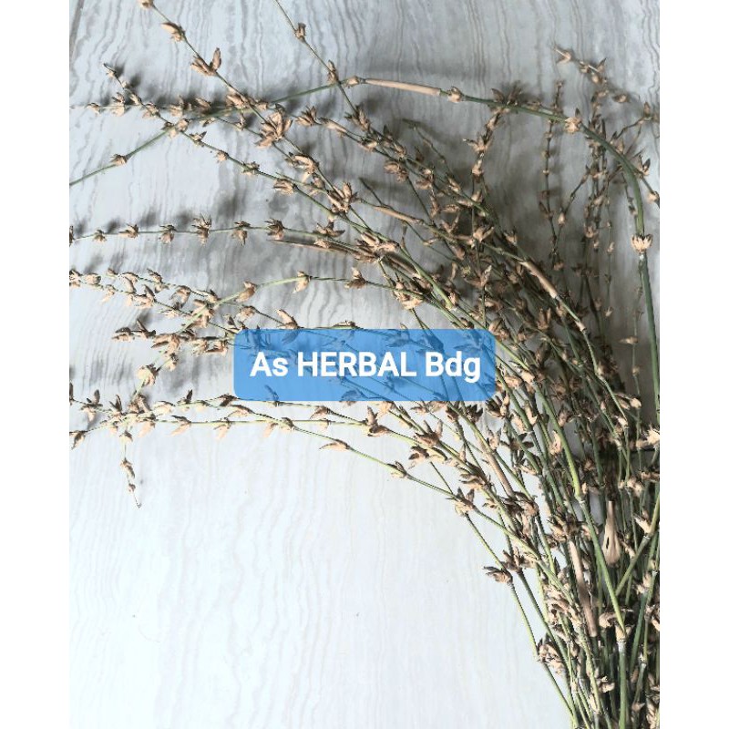 Jual Bunga bambu / kembang pring asli segar | Shopee Indonesia