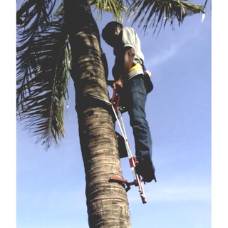 Jual Panjatkit T3 Alat panjat pohon kelapa tiang listrik sistem jerat ...