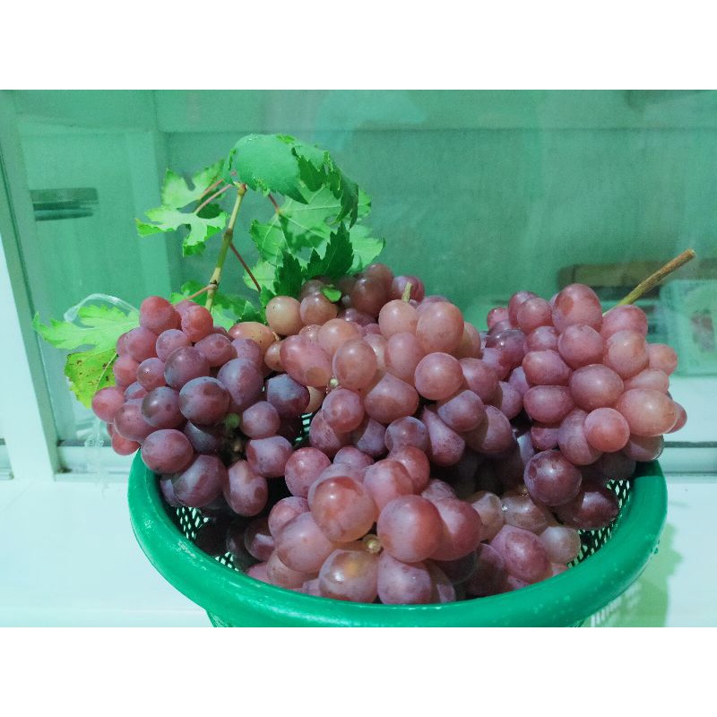 Jual Anggur | Shopee Indonesia