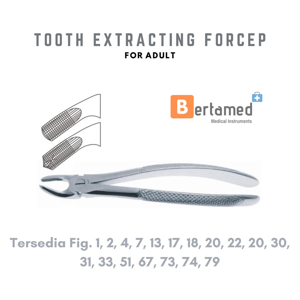 Jual MARWA Tooth Extracting Forcep For Adult - Tang Cabut Gigi Dewasa ...