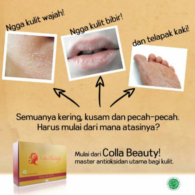 Jual PEMUTIH KULIT wajah Collagen ikan Salmon COLLABIUTEE isi 30 sachet ...