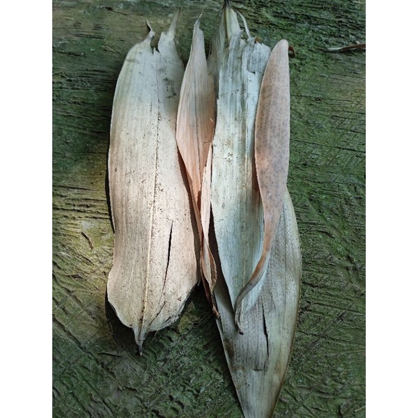 Jual DAUN BAMBU KERING 1KG | Shopee Indonesia