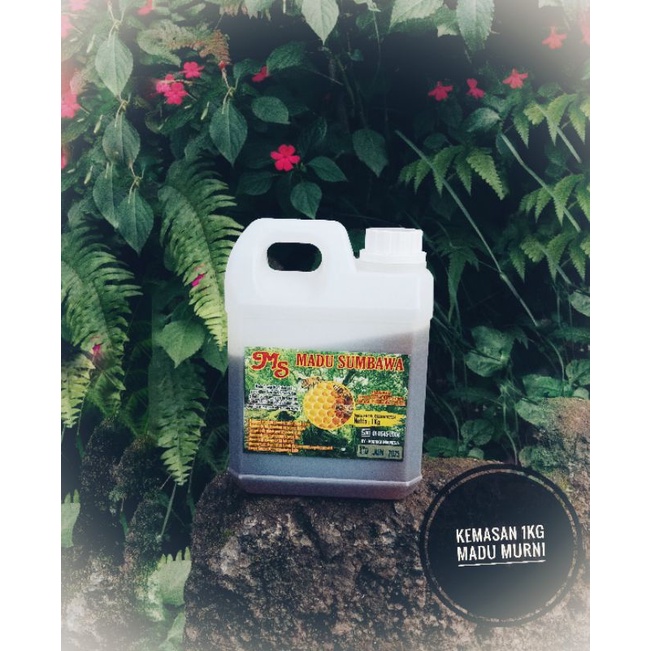Jual MADU SUMBAWA MADU MURNI MADU ASLI MADU HUTAN MADU SUMATRA MADU ...