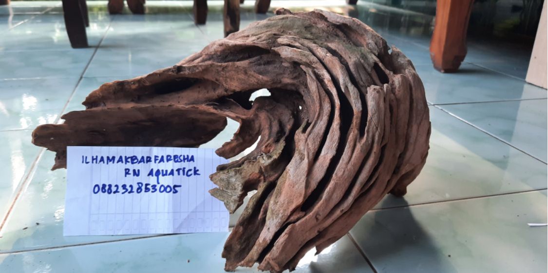 Produk RNAquatic | Shopee Indonesia