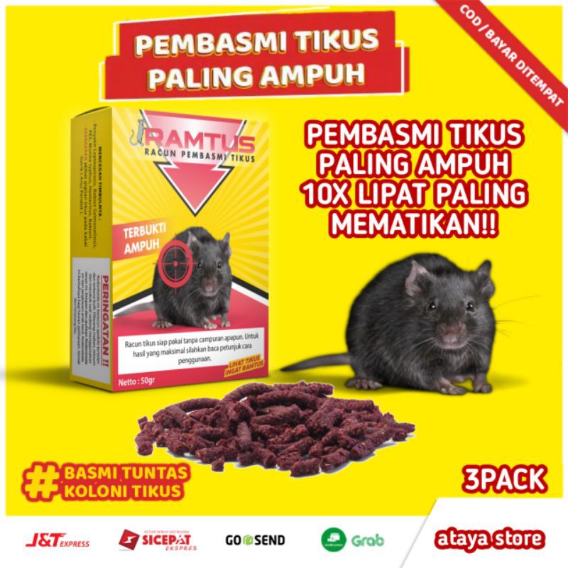Jual OBAT RAMTUS | Racun tikus ampuh mati kering tidak berbau tikus ...