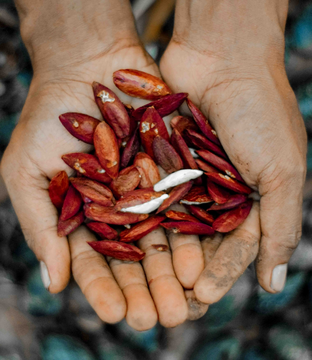 Produk Nth Wonder Gelato | Shopee Indonesia