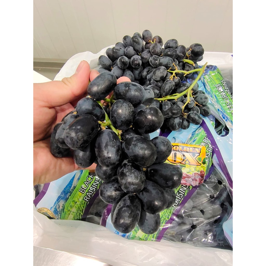 Jual Buah ANGGUR USA / AUSI AUTUMN ROYAL / Tanpa biji / manis / kg ...