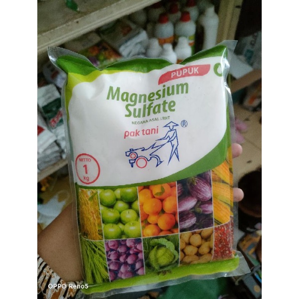 Jual magnesium sulfat 1kg | Shopee Indonesia