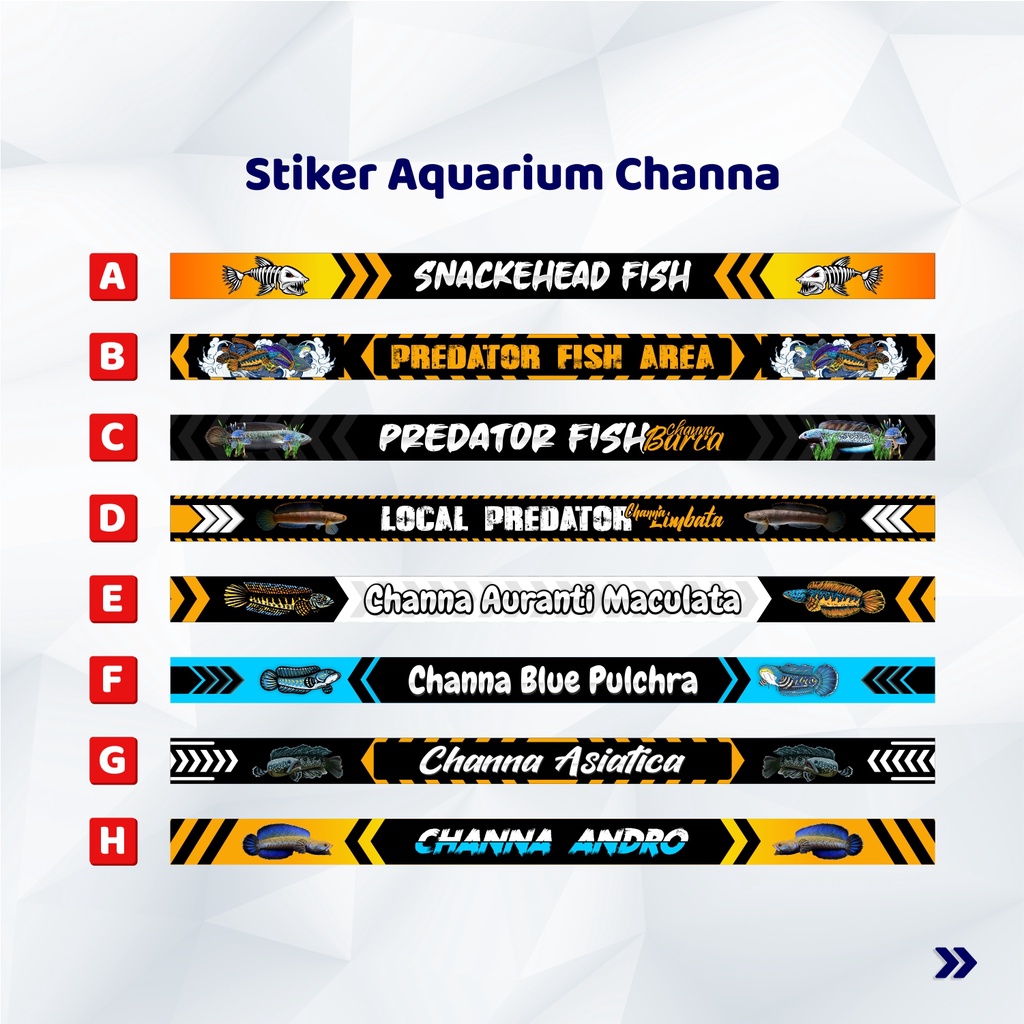 Harga Stiker List Aquarium Channa Maru Terbaru Juli 2023 |BigGo Indonesia