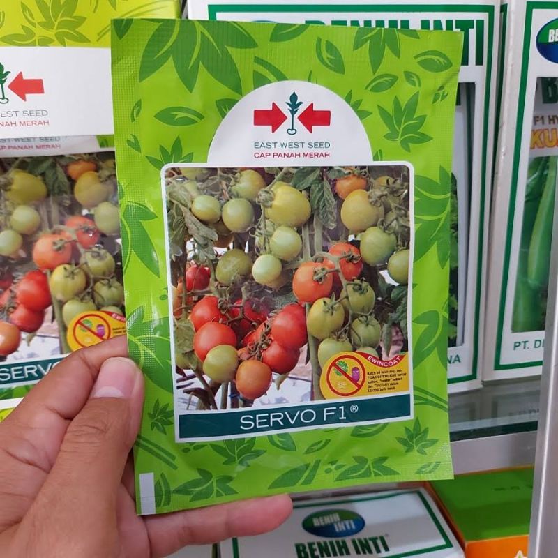 Jual Cap panah merah benih tomat servo F1 original 150 biji | Shopee ...