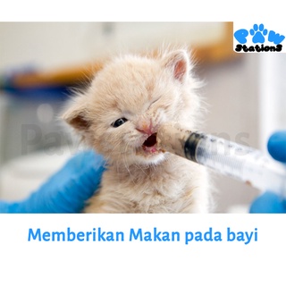 Jual Spuit Sepet Spet Kucing Anjing Suntikan 3cc Suntikan 3ml Jarum ...