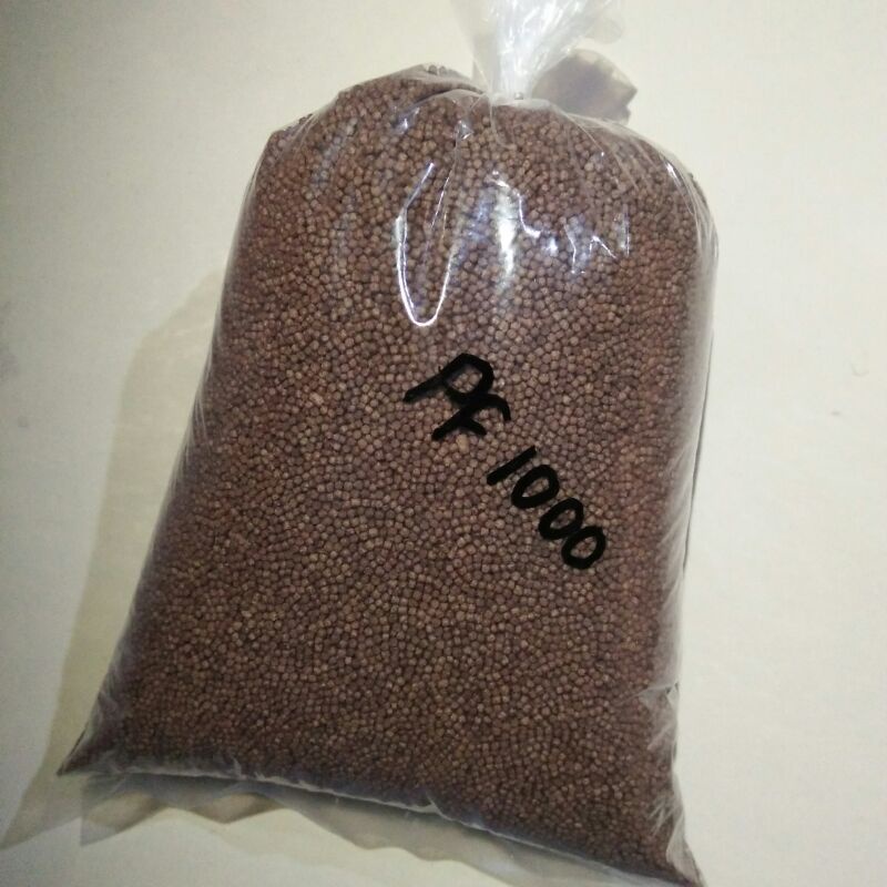 Harga PF 1000 1 Kilo Terbaru Jun 2026 | BigGo Indonesia