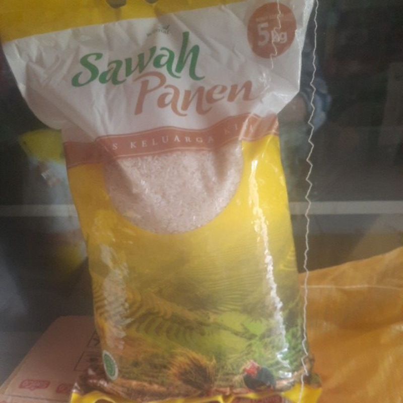 Jual Beras sawah panen 5 kg | Shopee Indonesia