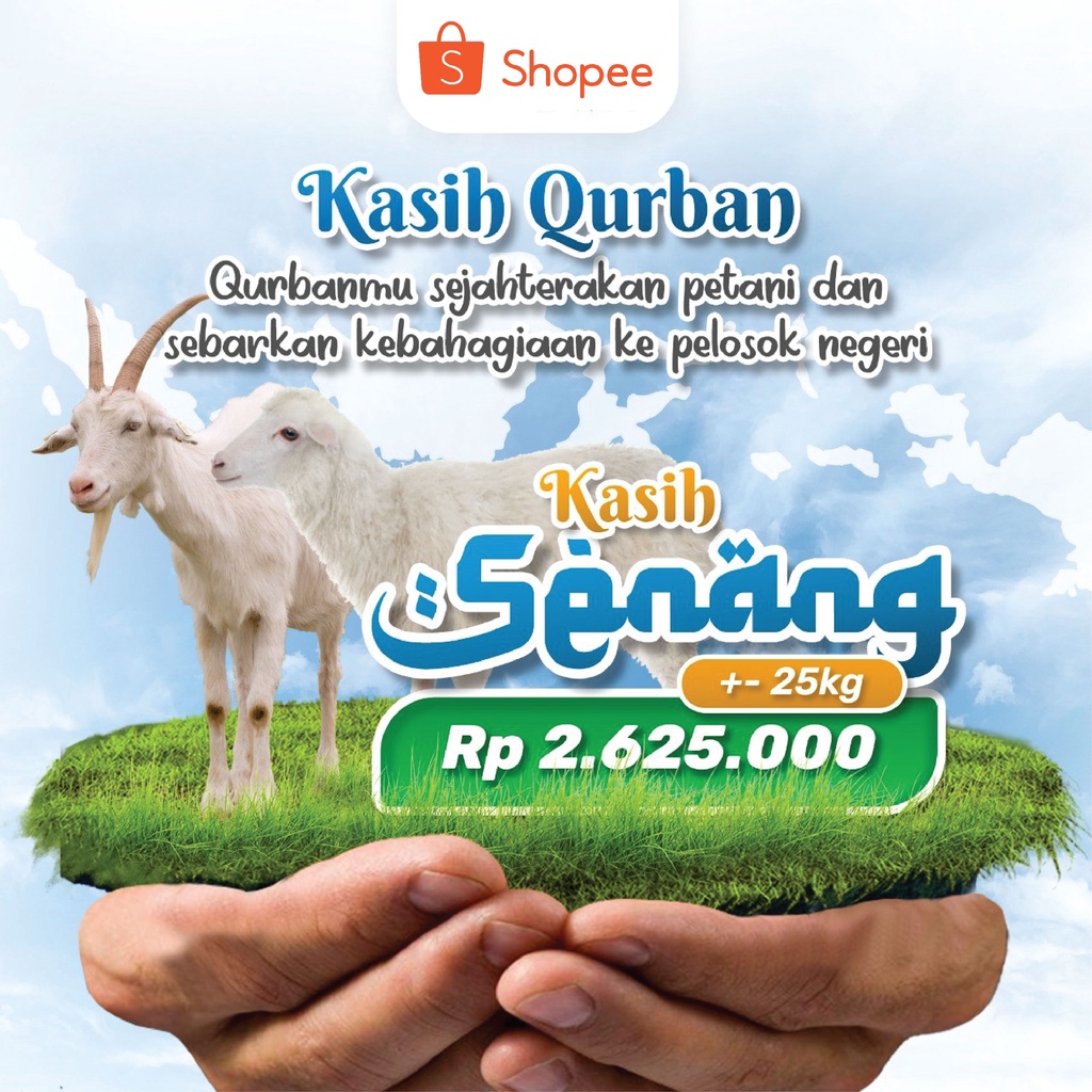 Jual Qurban di Pelosok "Kasih Senang" (Kurban Kambing Domba) | Shopee Indonesia