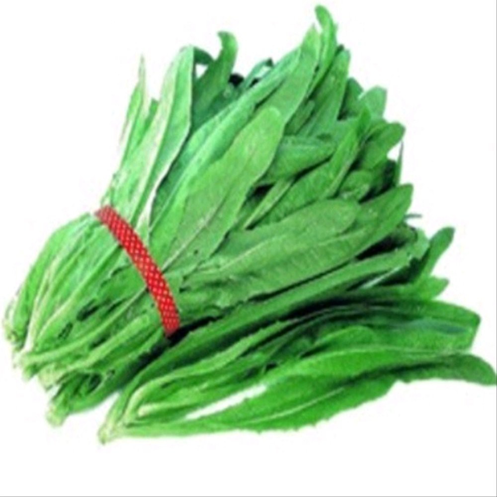 Jual 25 Biji selada Wangi import | Shopee Indonesia
