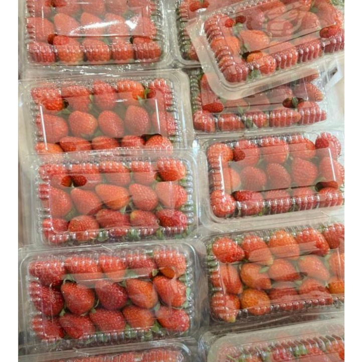 Jual Strawberry mini pack FREE GULA (Ready Jumat Sore 4 Nov) | Shopee ...