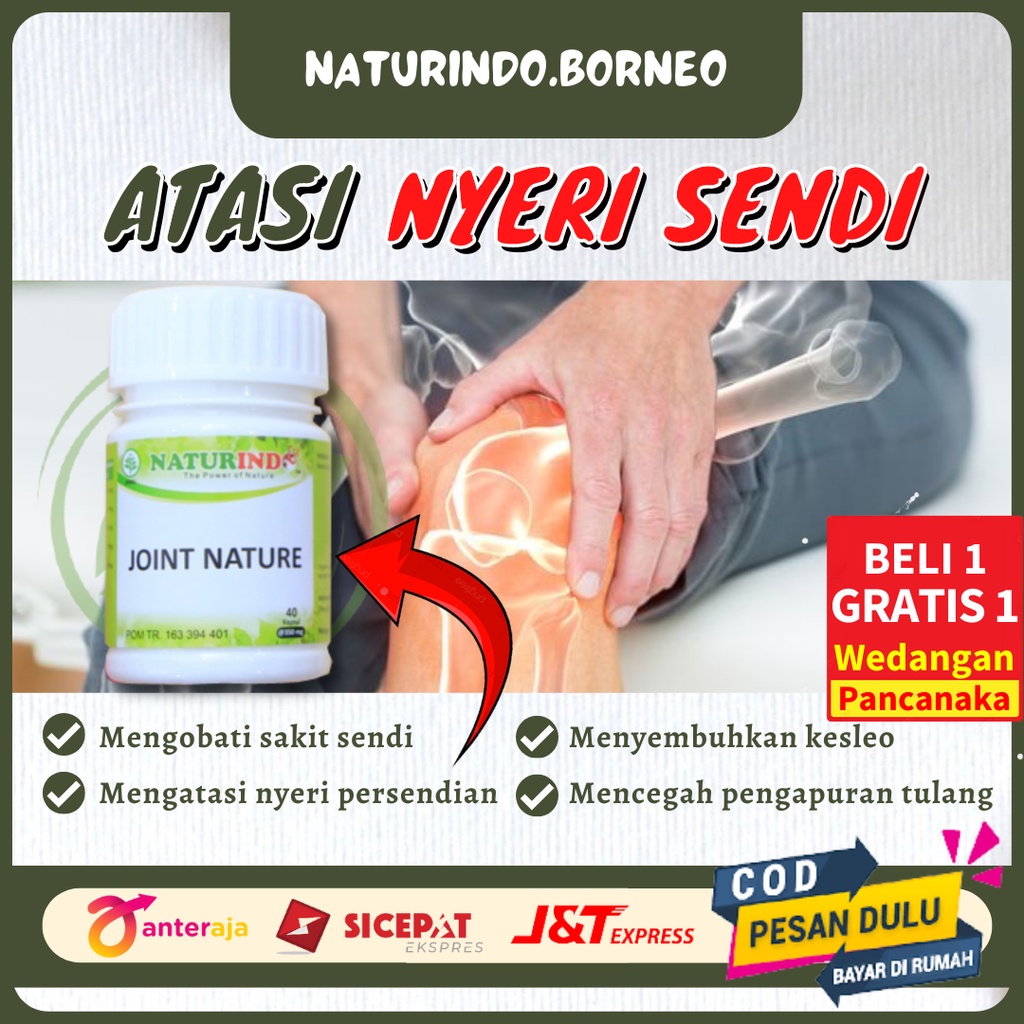 Jual Obat Herbal Nyeri Sendi Lutut Pengapuran Tulang Pereda Nyeri ...