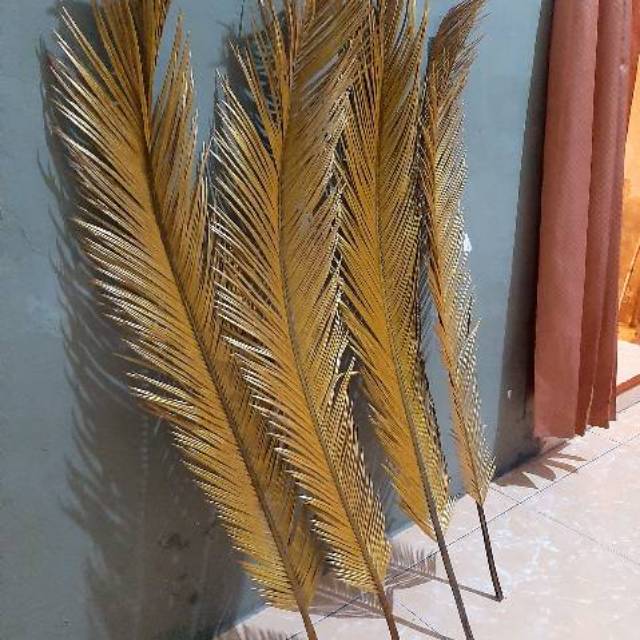 Jual Daun palem sikas kering/mawar jambe gold | Shopee Indonesia