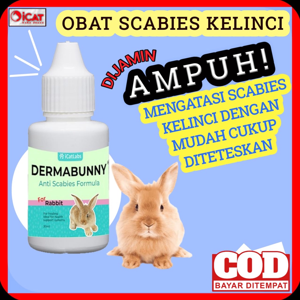 Jual OBAT SCABIES KELINCI OBAT SCRABIES KELINCI OBAT KULIT KELINCI ... Jual OBAT SCABIES KELINCI OBAT SCRABIES KELINCI OBAT KULIT KELINCI ...