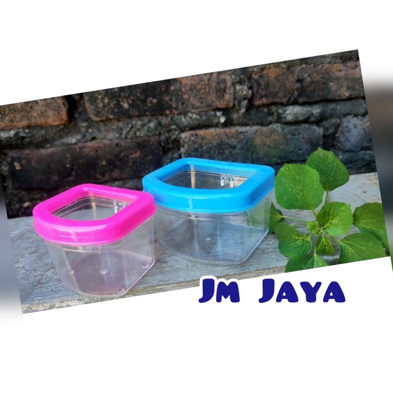 Jual cepuk makan minum burung | Shopee Indonesia