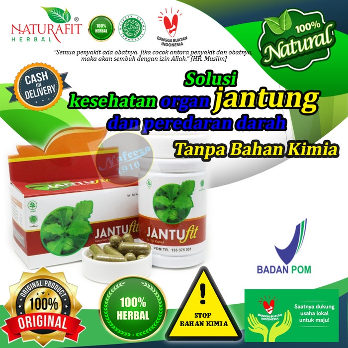 Jual HERBAL JANTUNG JANTUFIT 50 KAPSUL - OBAT SIRKULASI DARAH / Herbal ...