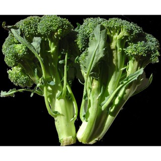 Jual brokoli lokal/1kg | Shopee Indonesia