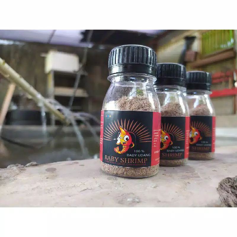 Jual Baby shrimp pakan burayak 10gr | Shopee Indonesia Jual Baby shrimp pakan burayak 10gr | Shopee Indonesia