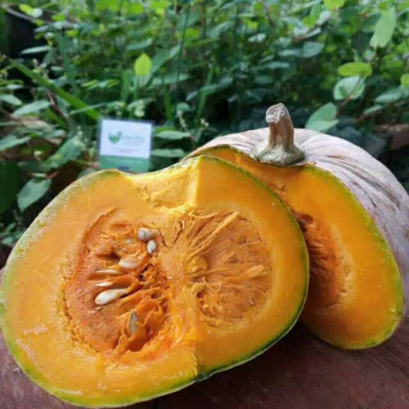 Jual 3 biji - Benih Labu | Shopee Indonesia