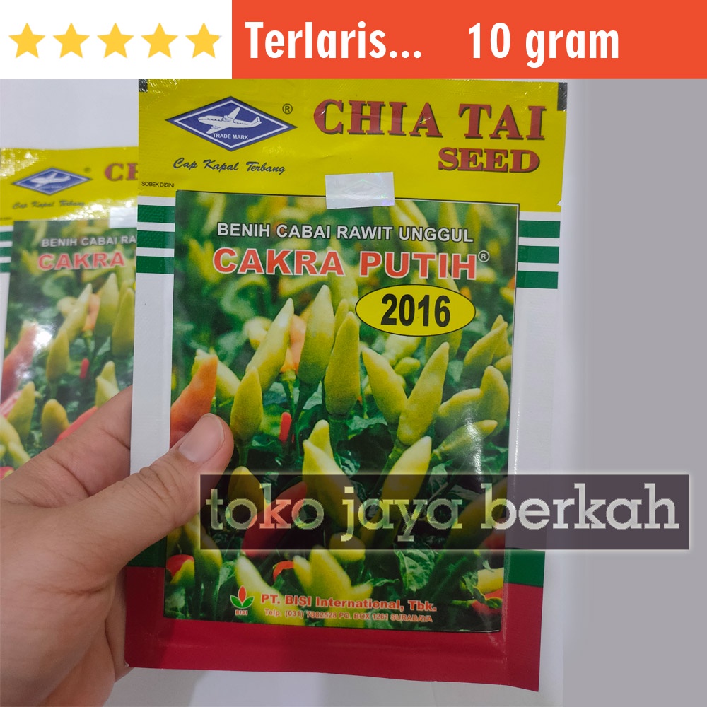 Jual Benih Cabai Rawit Cakra Putih 10 gram Bisi Cap Kapal Terbang ...