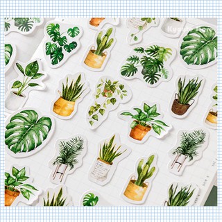 Jual Sticker Deco Motif Tanaman Hijau Diary Journaling Bujo Scrapbook ...