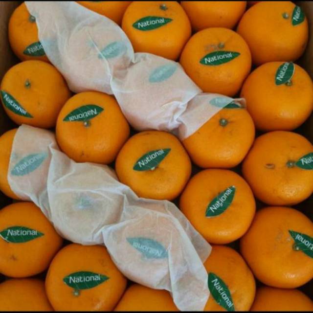 Jeruk Kino/Jeruk Kinnow (1 kg) | Shopee Indonesia