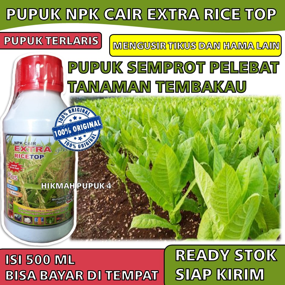 Jual PUPUK NPK CAIR EXTRA RICETOP 500 ML Pupuk Semprot Pelebat Tanaman Tembakau - Pupuk ...