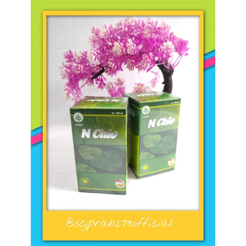 Harga Chlorofile Terbaru Juli 2023 |BigGo Indonesia