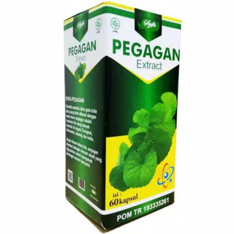 Jual Ekstrak Daun Pegagan 60 Kapsul syifa | Shopee Indonesia