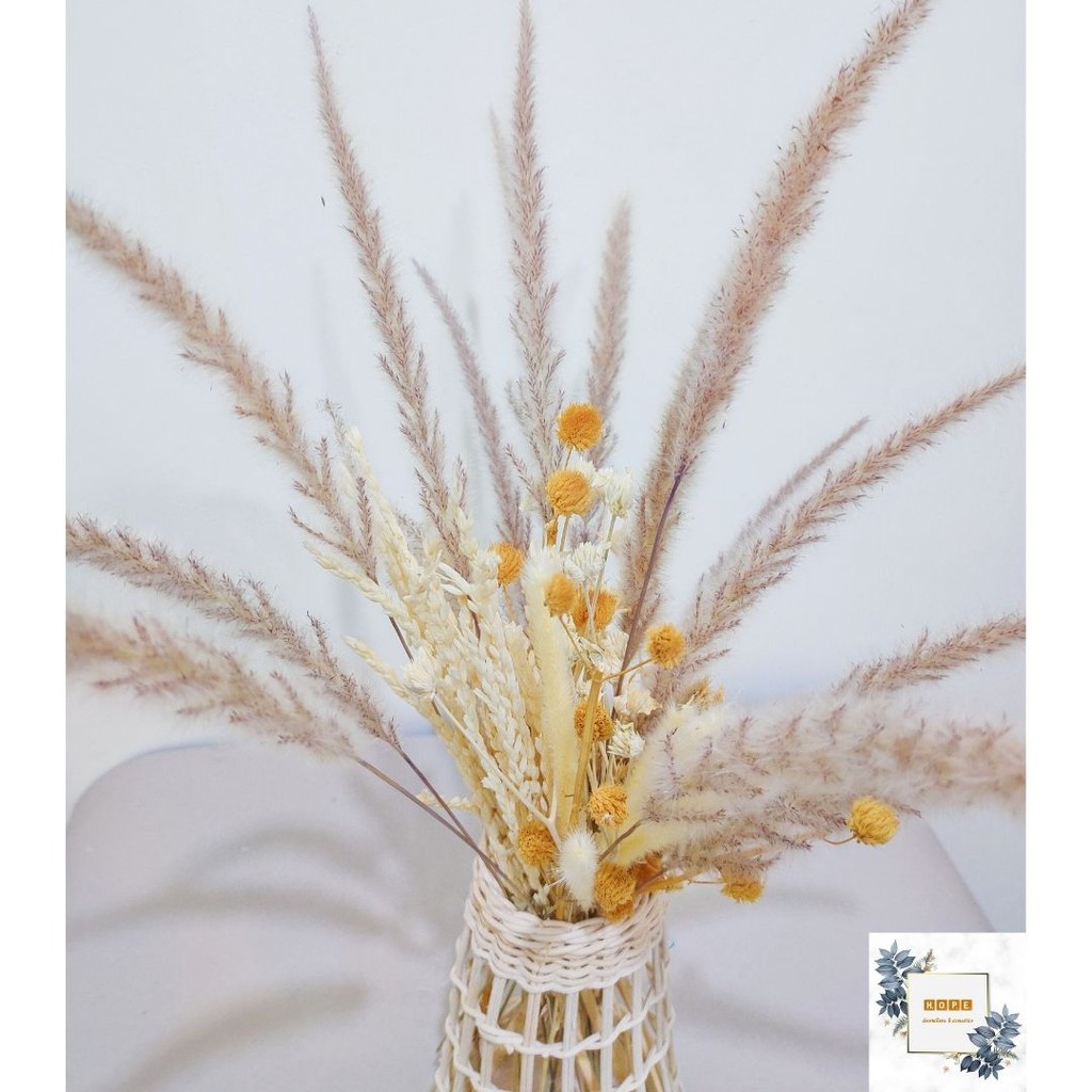 Jual DRIED ILALANG IMPOR / BUNGA KERING ILALANG RUSTIC | Shopee Indonesia