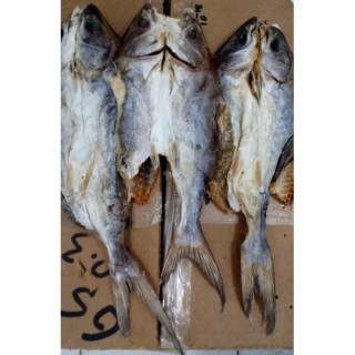 Jual Ikan mayung asin ( 500 gram ) | Shopee Indonesia