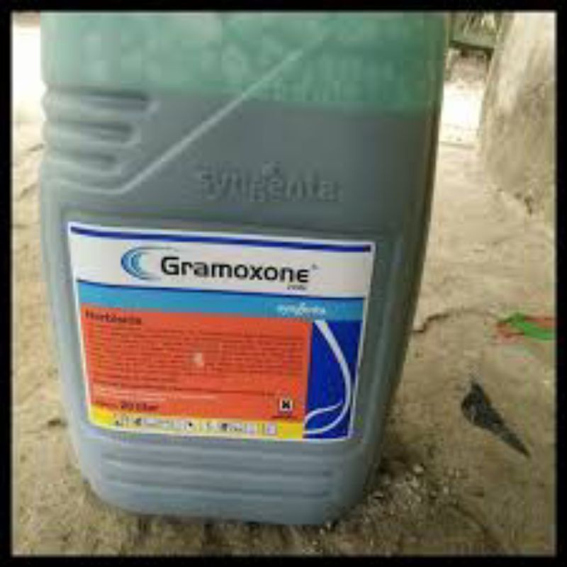 Harga gramason rumput Terbaru Sep 2024 |BigGo Indonesia