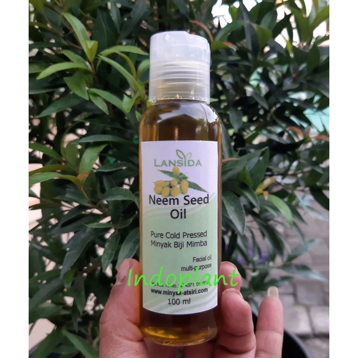 Jual Neem Seed Oil 100 ml - Minyak Biji Mimba Organik 100% Minyak Nimba ...