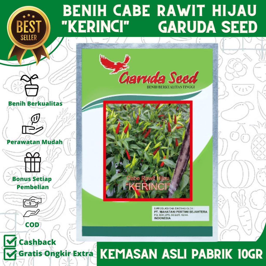 Jual Benih Cabe Rawit Hijau Kerinci Bibit Cabai Garuda Seed 10 Gram ...