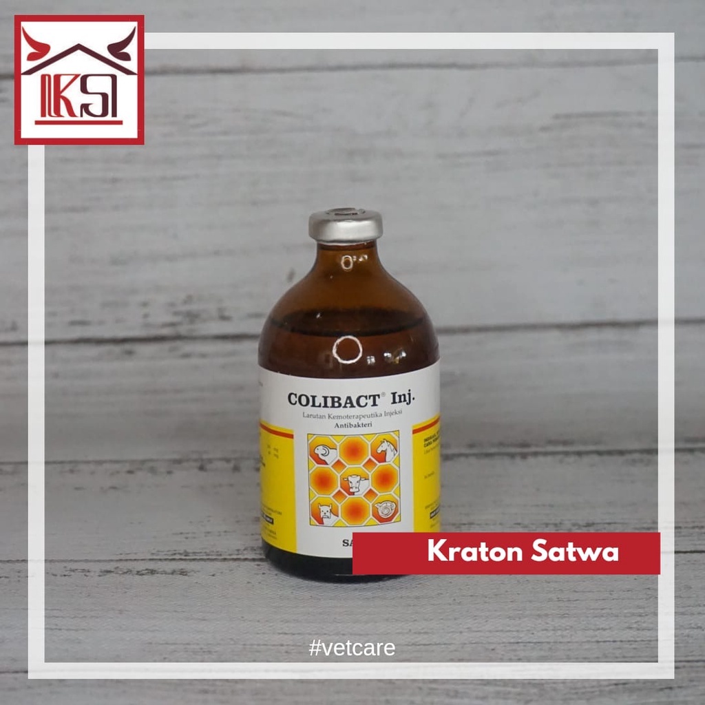 Jual COLIBACT Injeksi 100 ml Obat Antibiotik Hewan Spektrum Luas ...