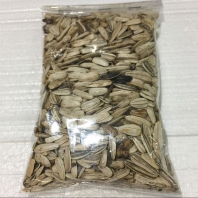 Jual kuaci kwaci pakan hamster sunflower seed | Shopee Indonesia