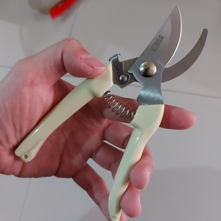 Jual GUNTING DAHAN GUNTING RANTING TANAMAN GUNTING STEK DAHAN SETEK ...