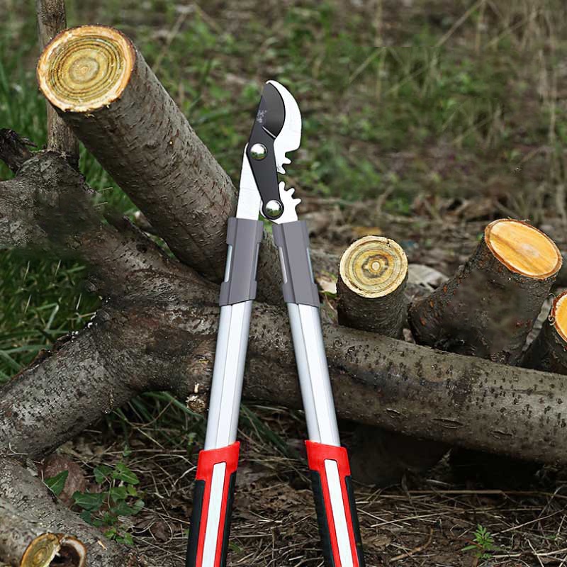 Jual Gunting Taman Gunting Cabang Tebal Steel Lopping Shears Gunting ...