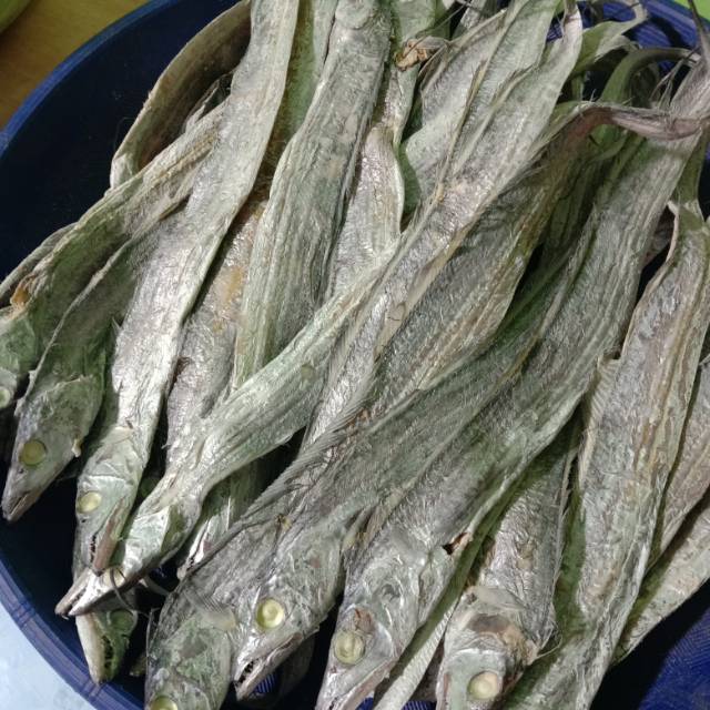 Jual IKAN PARANG PARANG / IKAN TALI | Shopee Indonesia