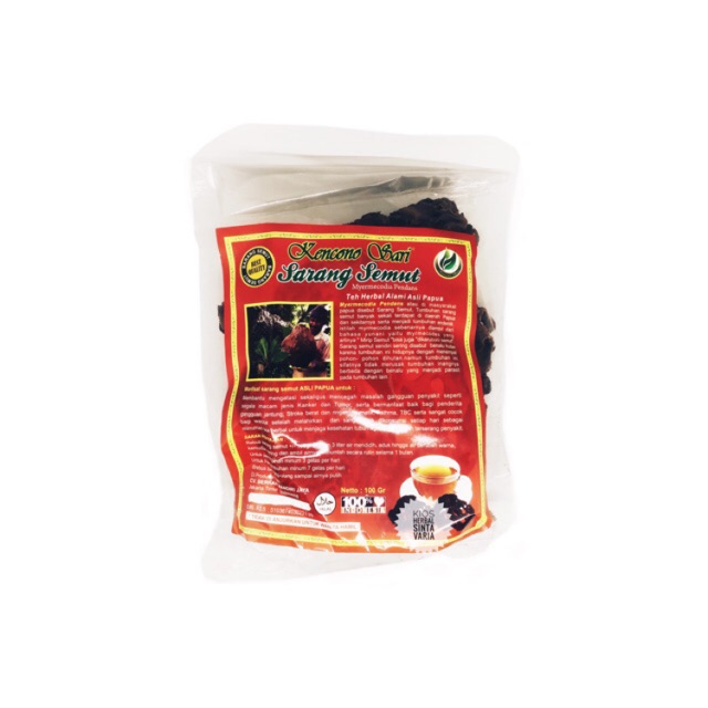 Jual Sarang semut asli Papua, sarang semut, asli,sarang semut aur ...