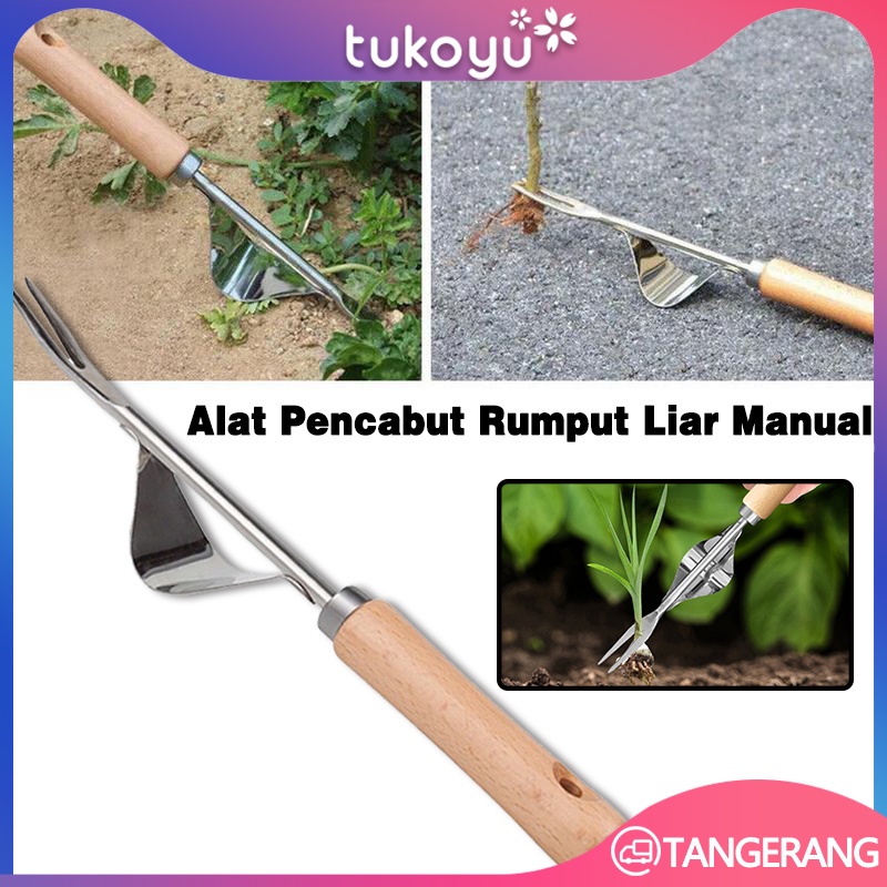 Jual Alat Pencabut Rumput Liar Manual/Pencabut Rumput Manual/Akar ...