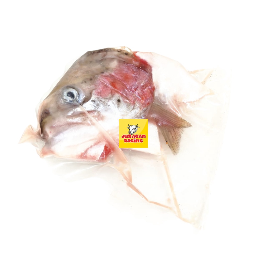 Jual Kepala Ikan Salmon Utuh Full Salmon Head | Shopee Indonesia
