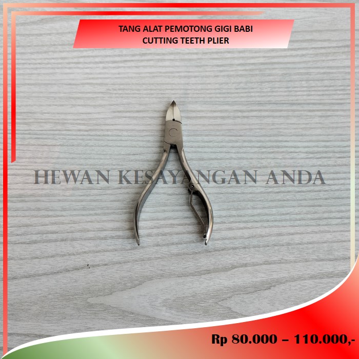 Jual Tang Alat Pemotong Gigi Babi Cutting Teeth Plier | Shopee Indonesia