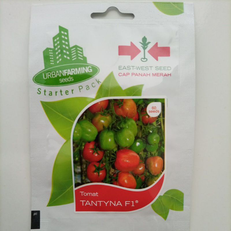 Jual BENIH TOMAT TANTYNA F1 | Shopee Indonesia