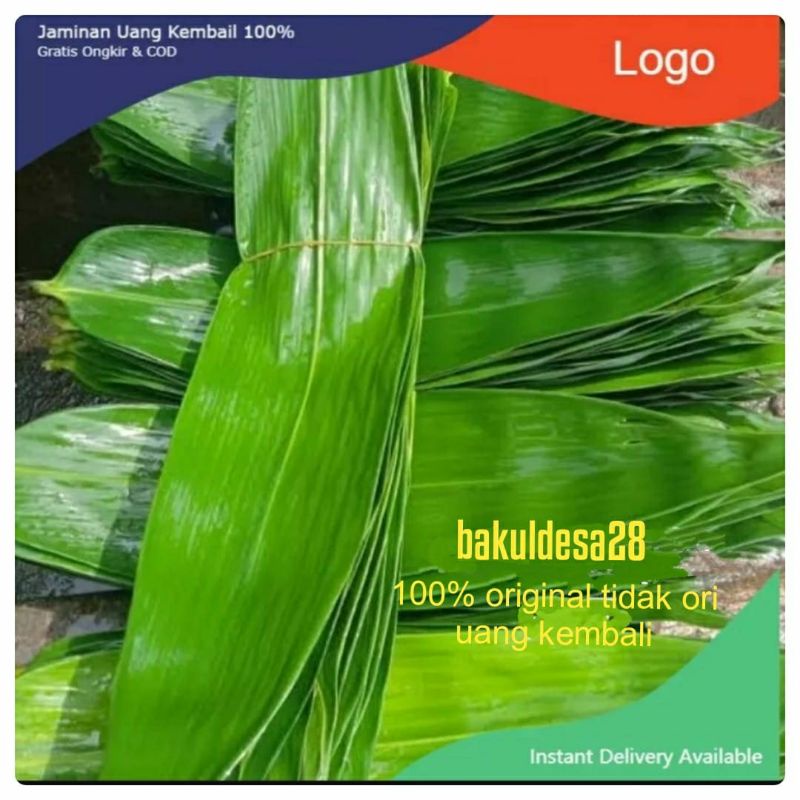 Jual Daun Bambu Bakcang 100 Lembar Daun Bambu Segar Bungkus Bacang ...